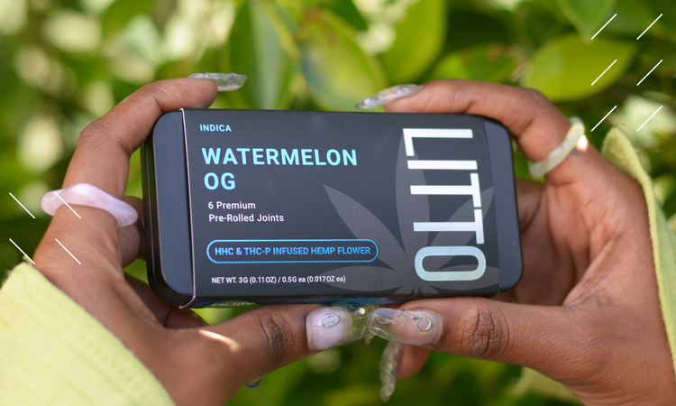 LITTO - Explore the official LITTO website.